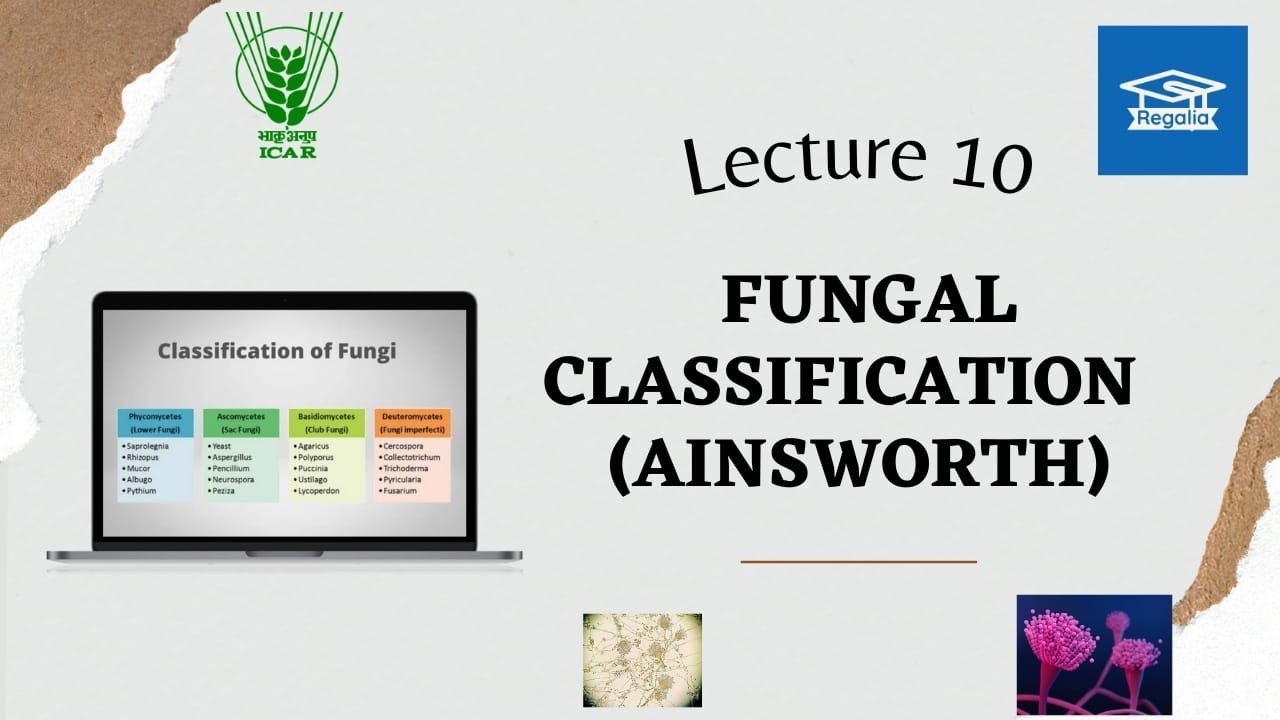 Fungal Classification -1 | Ainsworth Classification | ICARJRF 2022 ...