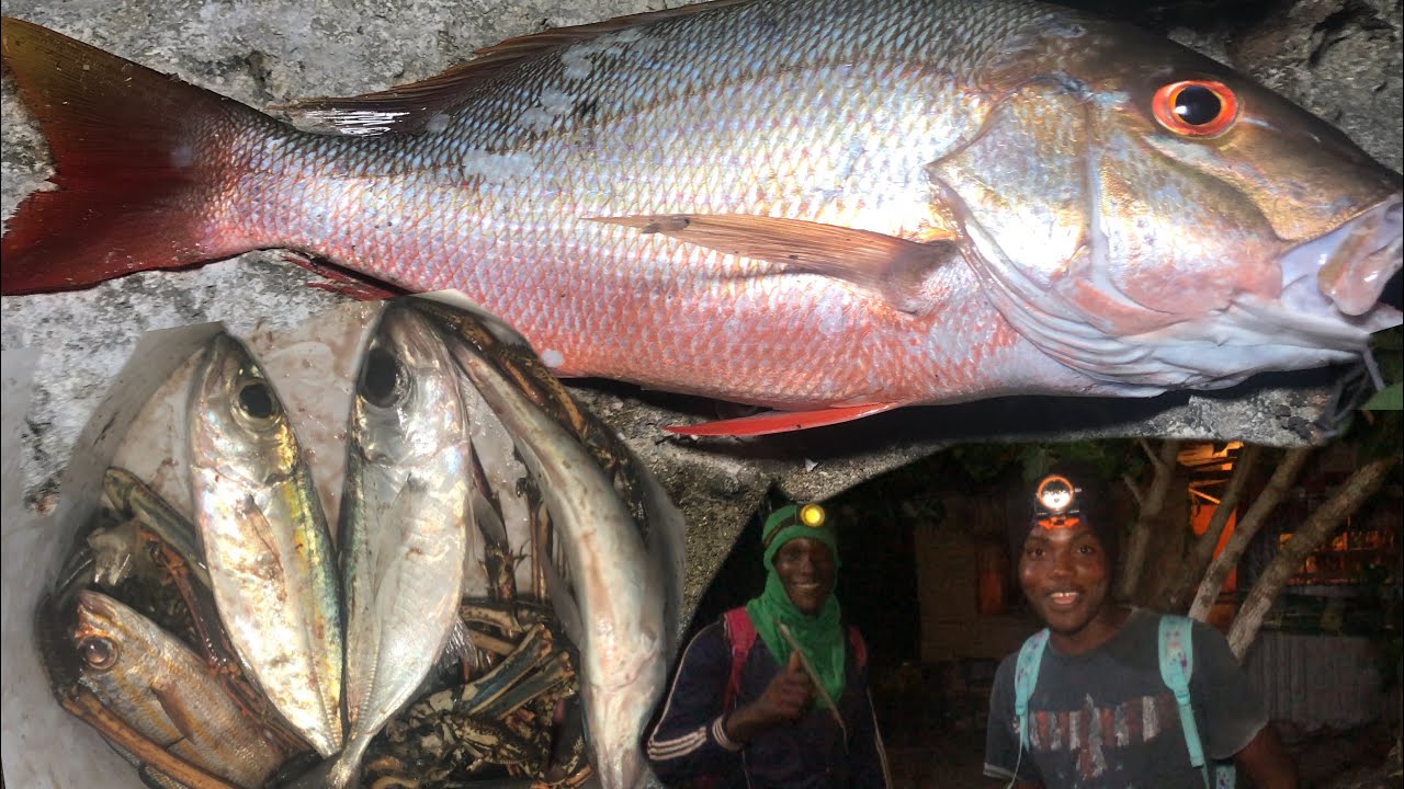 NIGHT HUNTING!!! CAUGHT MY FIRST GIANT SNAPPER. - YouTube