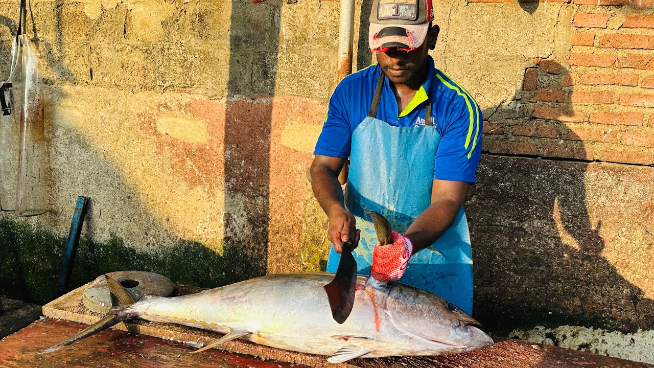 Fabulous !! RUSTIC FISH MARKET GIANT 80 LB YELLOWFIN TUNA BUTCHEEING ...
