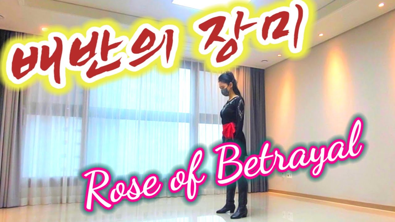 Rose of Betrayal / 배반의 장미 / Line Dance / High Beginner - YouTube