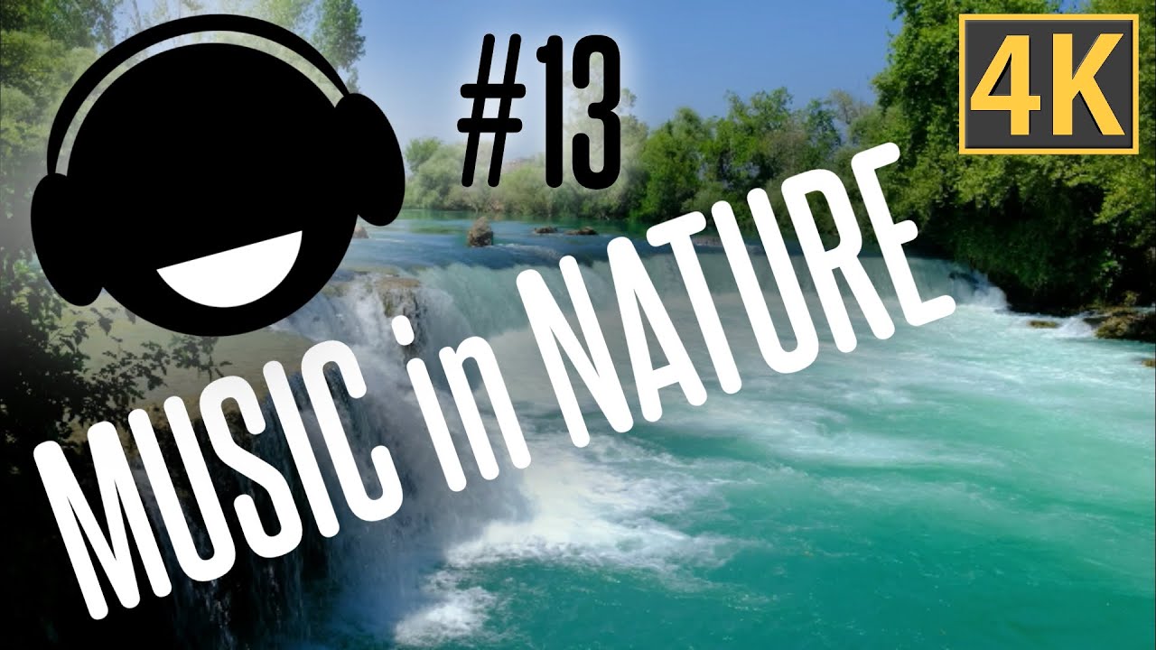MUSIC in NATURE | Funky Lofi HipHop Beat for Treehuggers & Flower ...