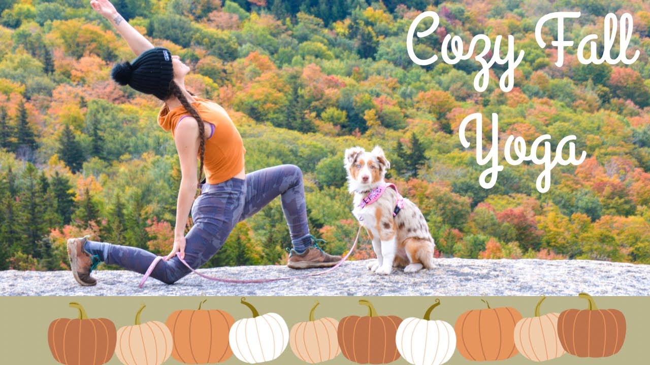 🍁Cozy Fall Yoga | Gentle Flow🍁 - YouTube