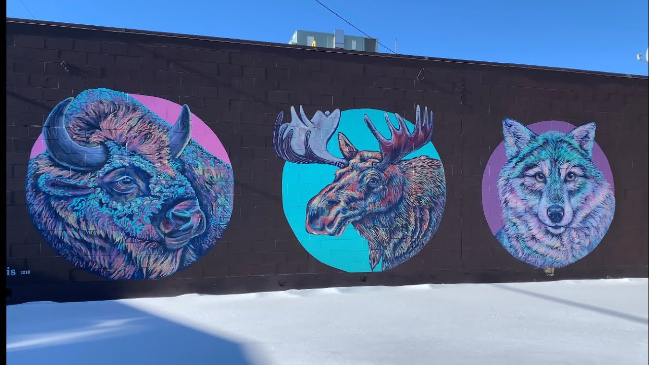 4K Winnipeg Walking Video 18 - Transcona - Park Circle - Winter - YouTube