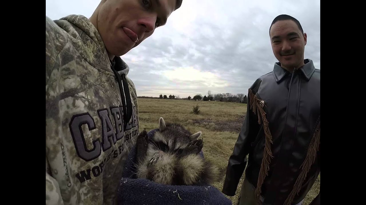 GoPro: Holding A Baby Raccoon - YouTube