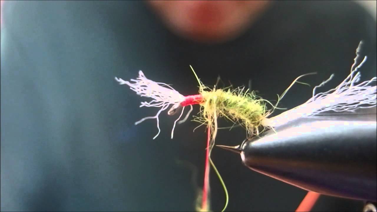 FLY TYING SCRUFFY BUZZER - YouTube