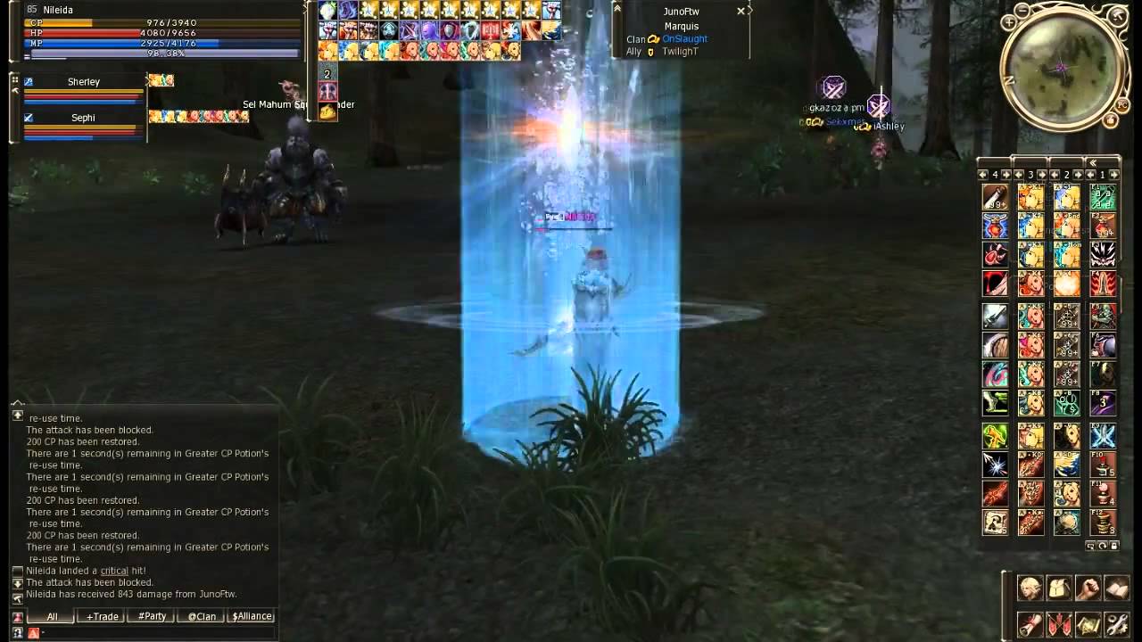 L2 - Swordsinger(Менестрель) - [Naia] Nileida SwS - [part1] - YouTube