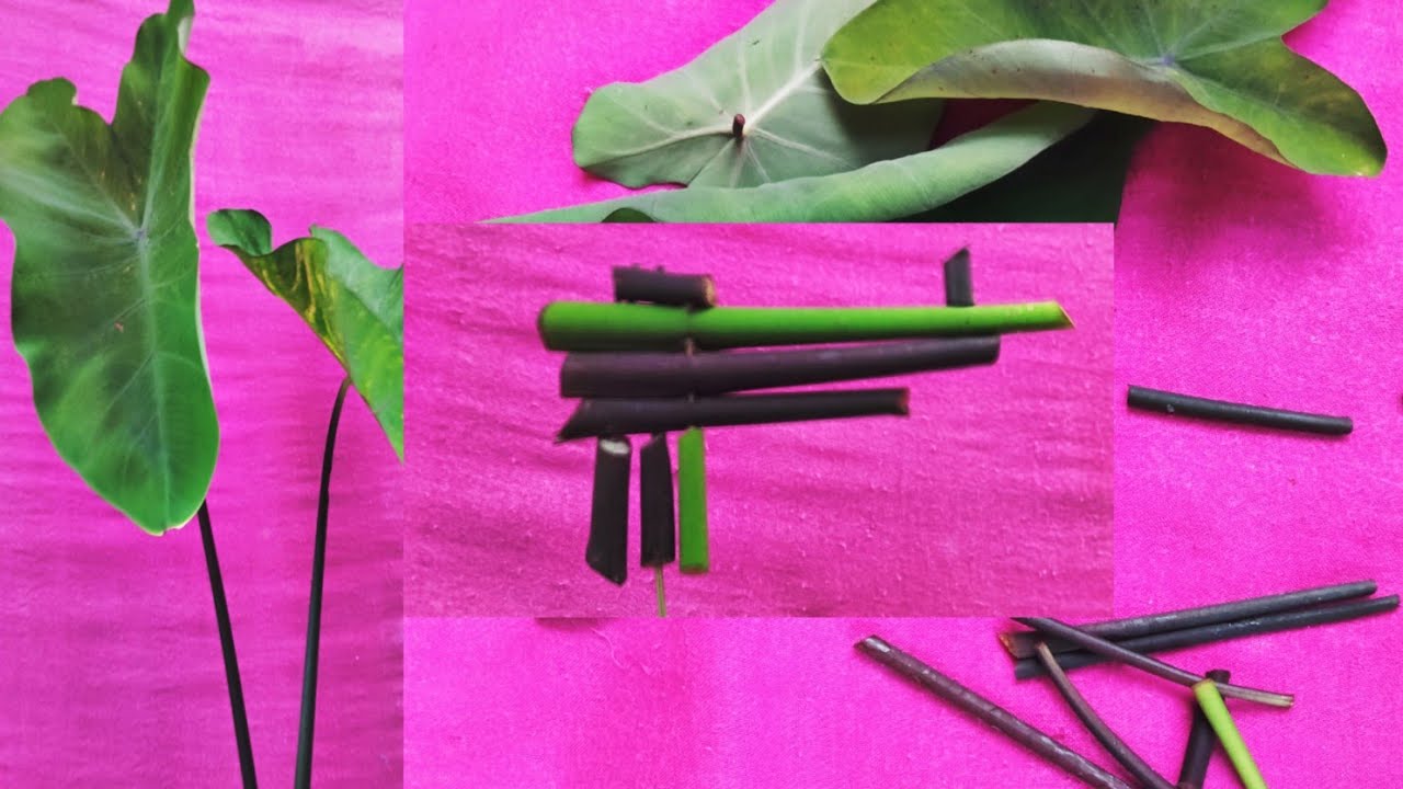 Satisfying video that haals your body & relaxed your mind - YouTube