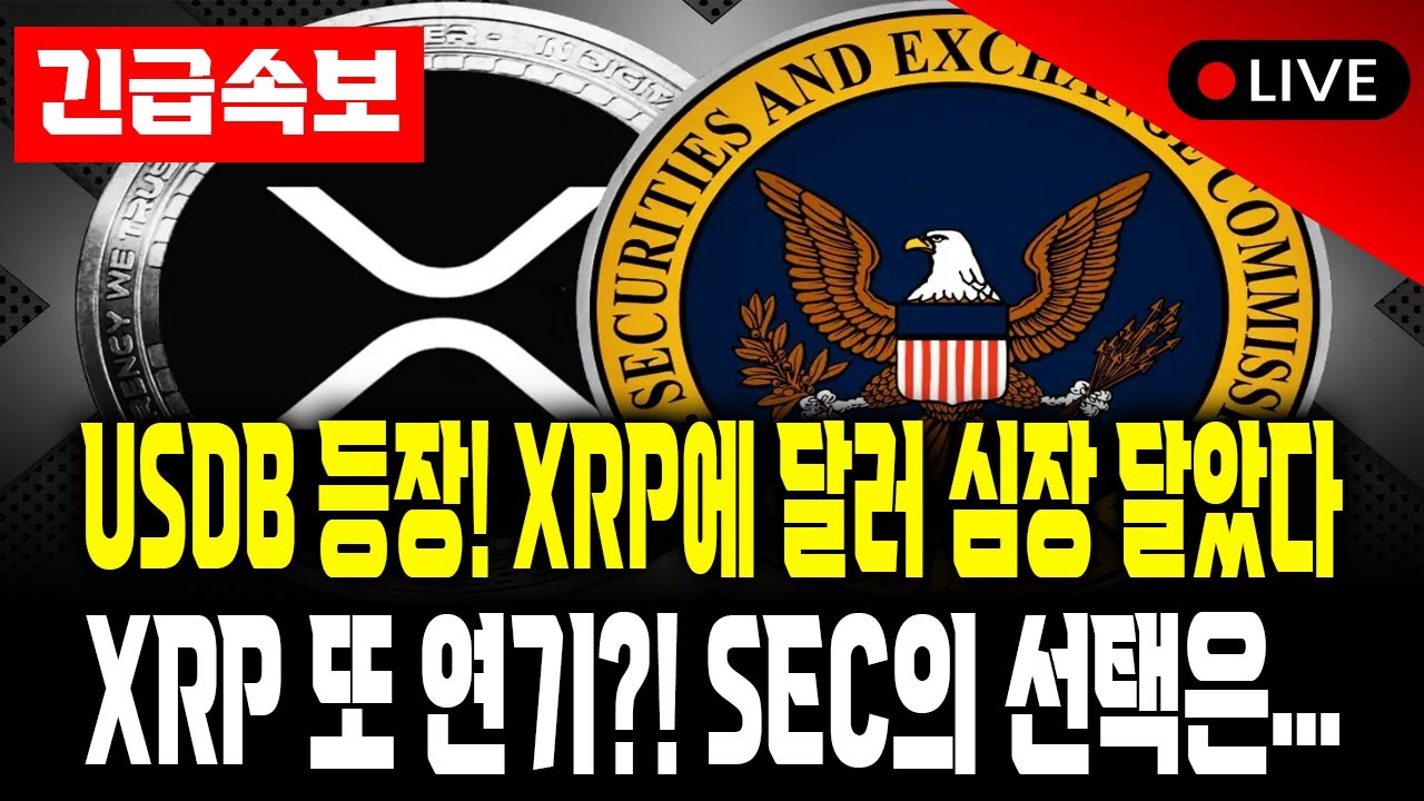 XRP 호재에도 가격 정체? 브라자 그룹 'USDB' 출시 & SEC ETF 승인 연기, 그 진짜 이유는? - YouTube