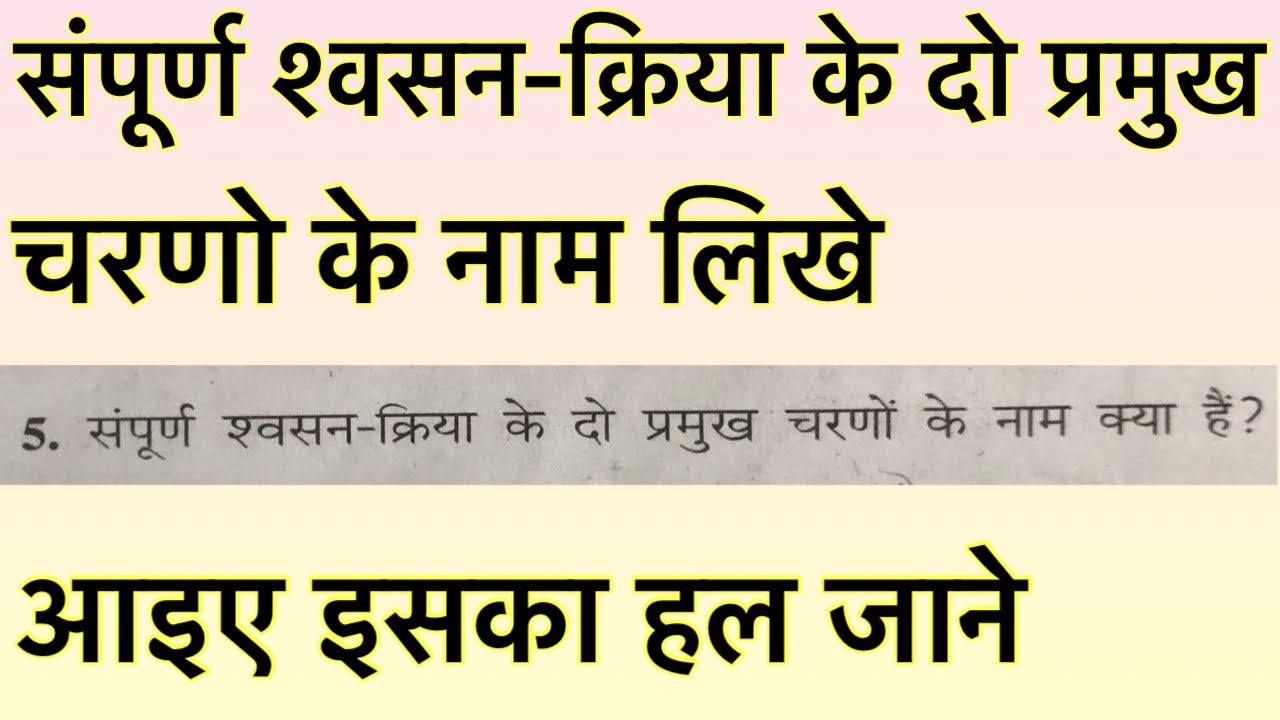 संपूर्ण श्वसन-क्रिया के दो प्रमुख चरणो के नाम लिखे | Sampurn sawasan ...