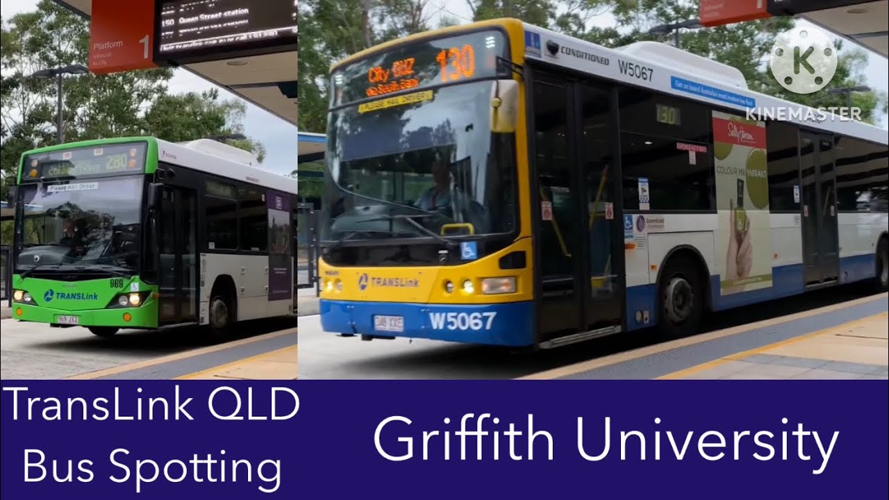 TransLink QLD Bus Spotting - Griffith University - YouTube