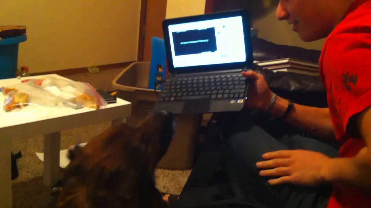 Dog sings to Spongebob Squarepants - YouTube