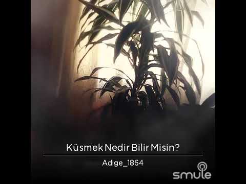 Küsmek Nedir Bilir misin ?