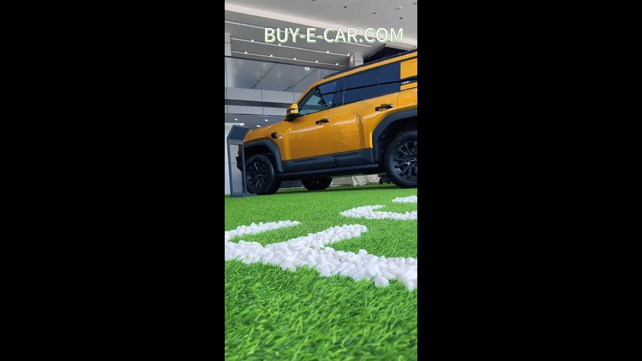 byd Formula 5 $ exw price 38790#newcar #byd #BAO5 #FORMULA5 豹5 - YouTube