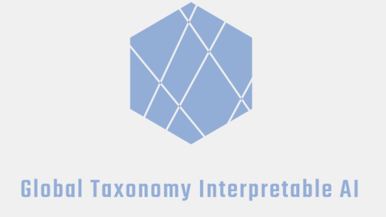 Towards a Global Taxonomy of Interpretable AI - YouTube