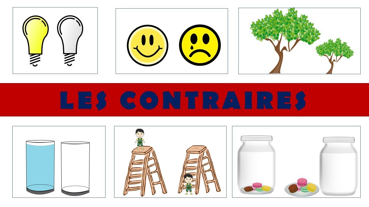 Apprendre des mots et leurs contraires - YouTube
