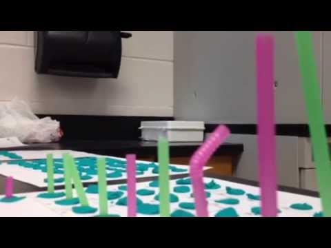 Chemistry Play-doh Rap - YouTube