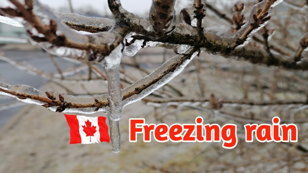 freezing rain canada - YouTube