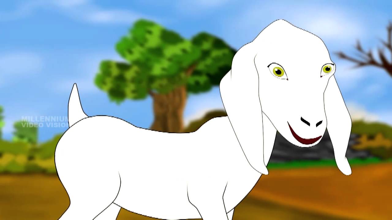 Chicken & Mutton | Animation Song | Blossoms - YouTube