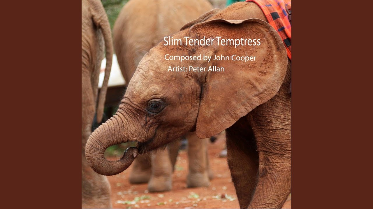 Slim Tender Temptress - YouTube