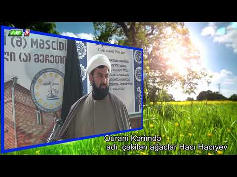 Qurani Kərimdə adı çəkilən ağaclar hansılardır? Hacı Hacıyev