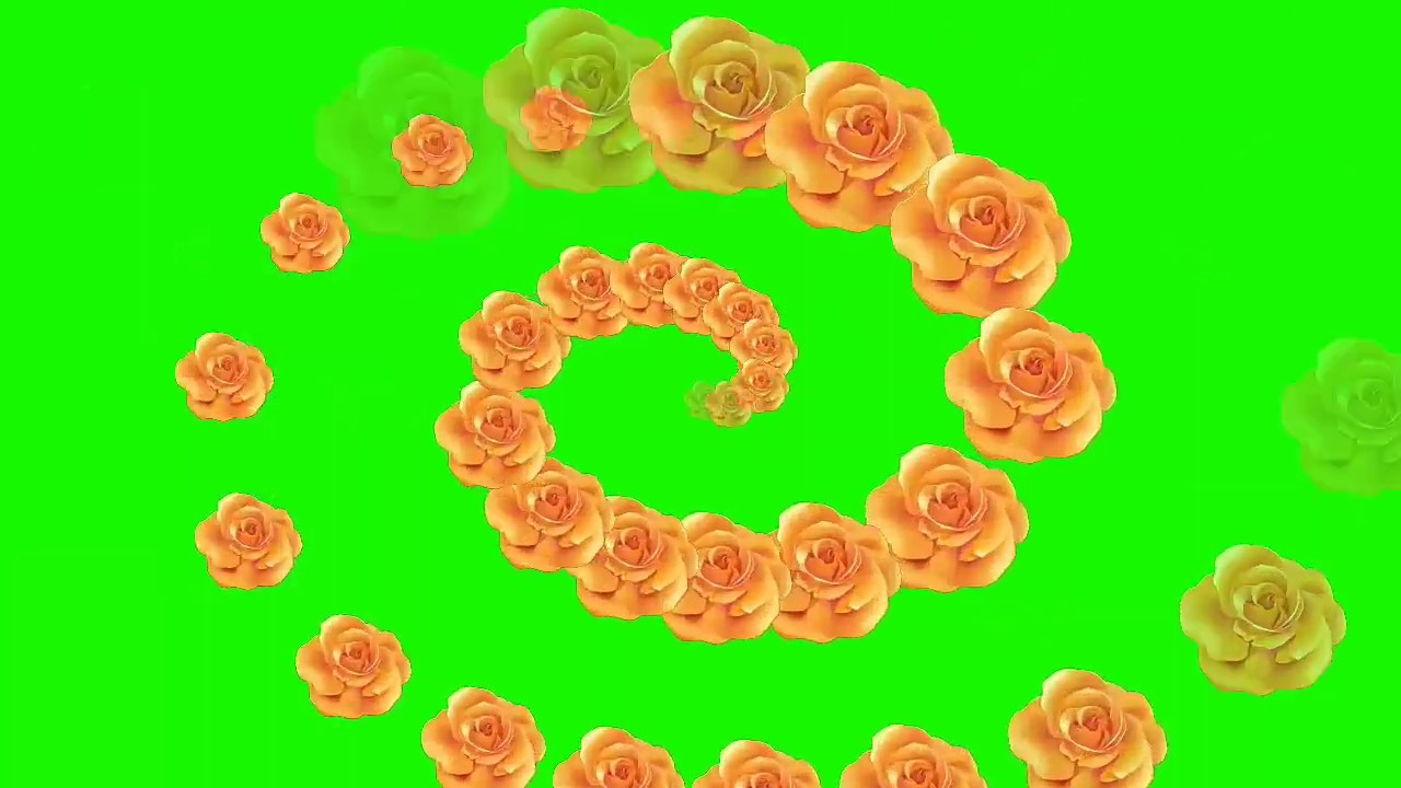 Rose Green screen Effect/HD video background frame (16) - YouTube