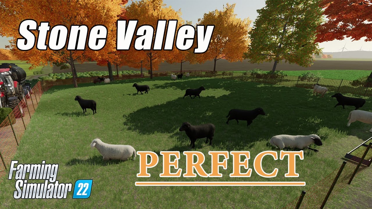 Finding The PERFECT Home For Our New Sheep Ep 6 Stone Valley 22 Farming ...
