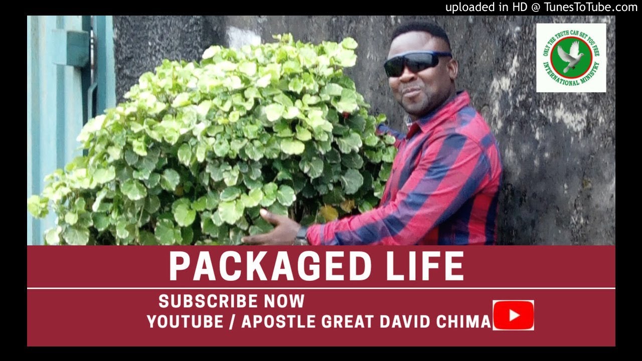 PACKAGED LIFE BY APOSTLE GREAT DAVID CHIMA - YouTube