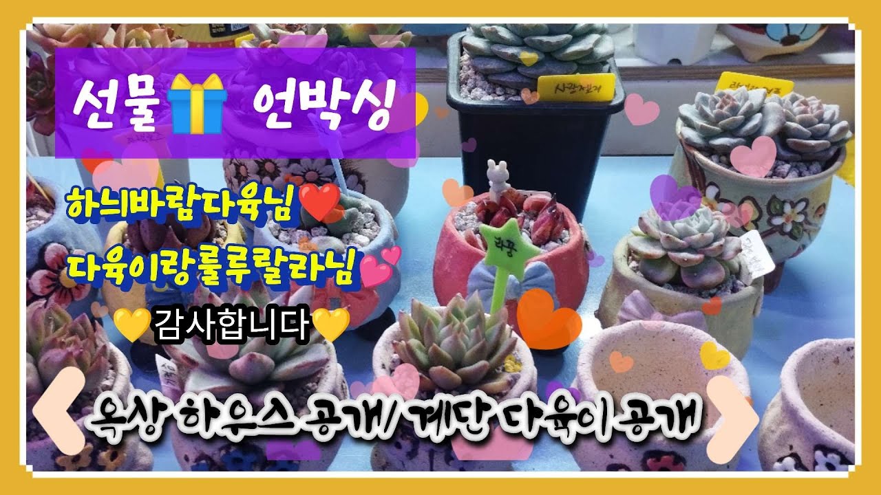 11์26์ผ ์ ๋ฌผ๐ ์ธ๋ฐ์ฑ ์ฅ์ ๋น๋ํ์ฐ์ค ๊ณต๊ฐ ์ ์๊ณ  ์ธ์๊ฐ ๊ณ ์น๊ธฐ ๊ณ๋จ ๋ค์ก์ด ์ ์์ต๋๋ค ๋ค์ก์๋ฌผ ์ด๋ณด๋ค์ก์ด