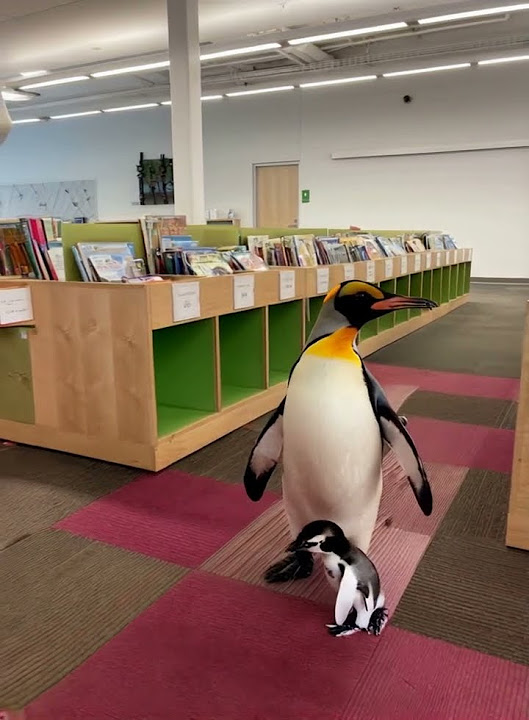 Penguin and chick in the library #animals #ai #libraries #penguin # ...