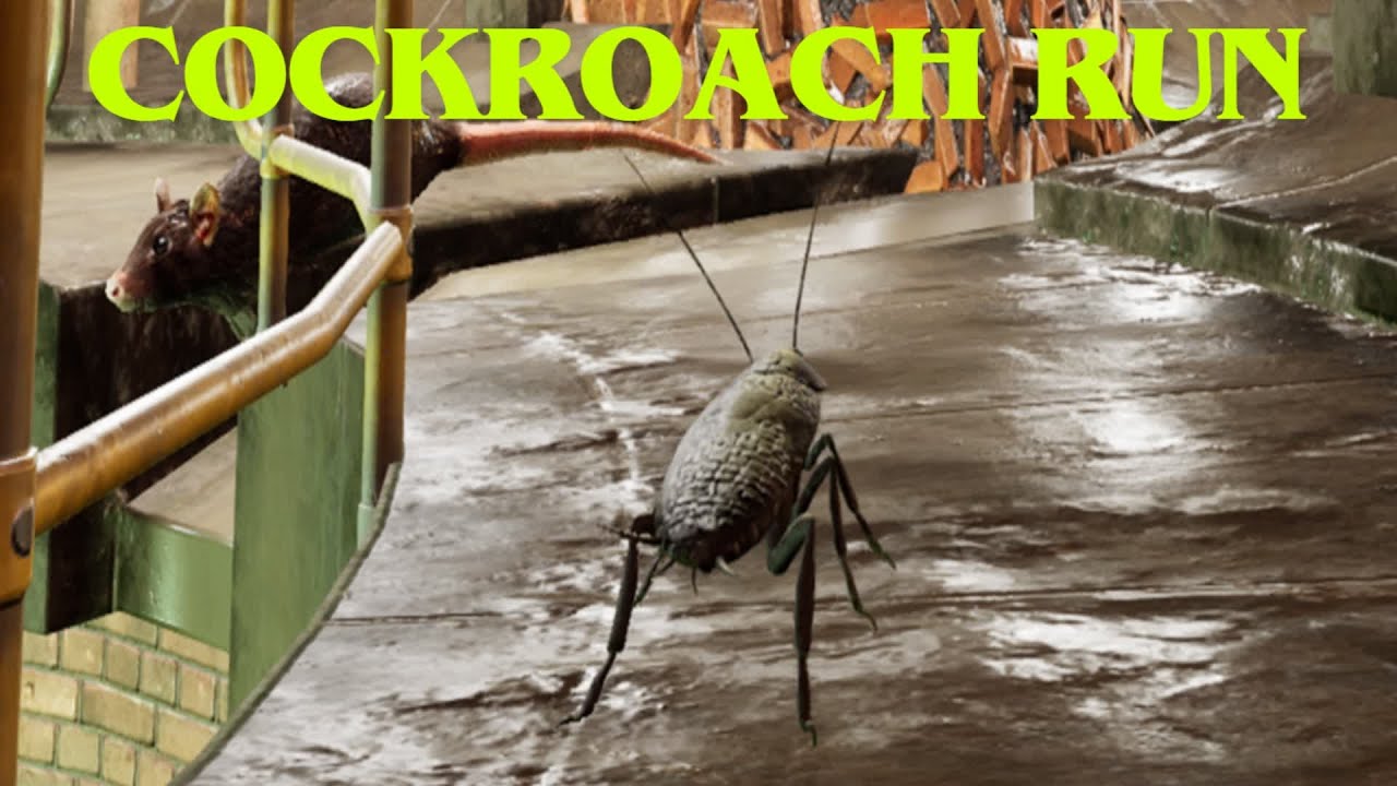FORTNITE Cockroach Run 😍 MAP CODE: 3337-8232-3469 - YouTube
