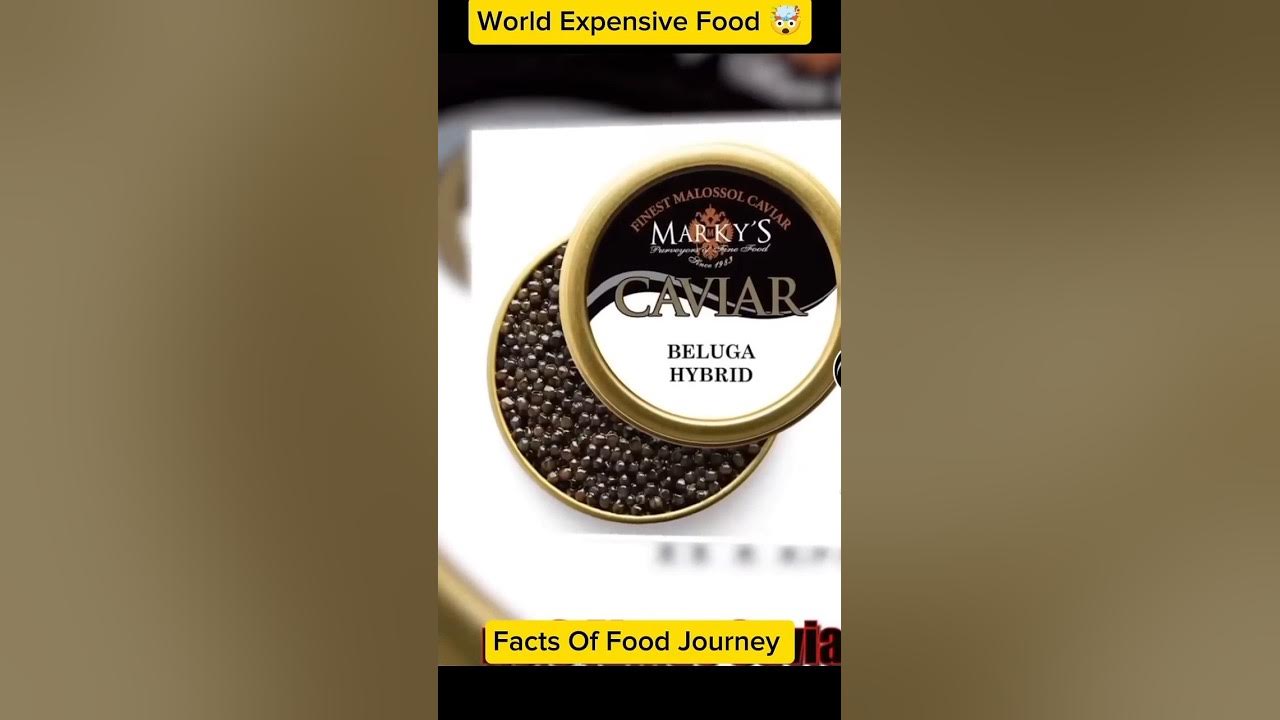 World s Most Expensive Food most Expensive Food In The World most world-s-most-expensive-food-most-expensive-food-in-the-world-most