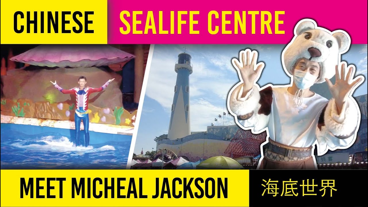SEAWORLD IN CHINA: White Whales and Famous Seals 大连圣亚海洋世界 Sun Asia ...