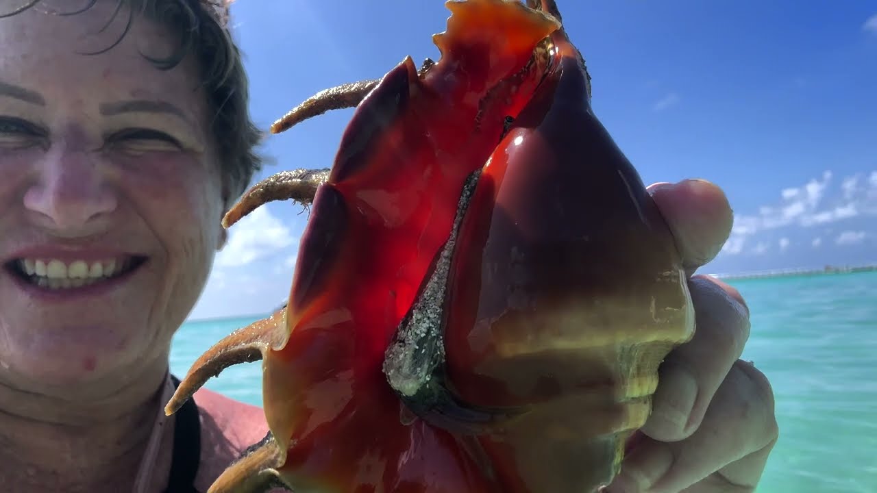 Shell Monster - YouTube