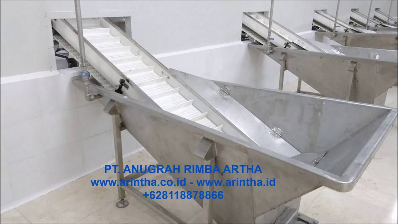 washing tank, feeder tank fish, shrimp - YouTube