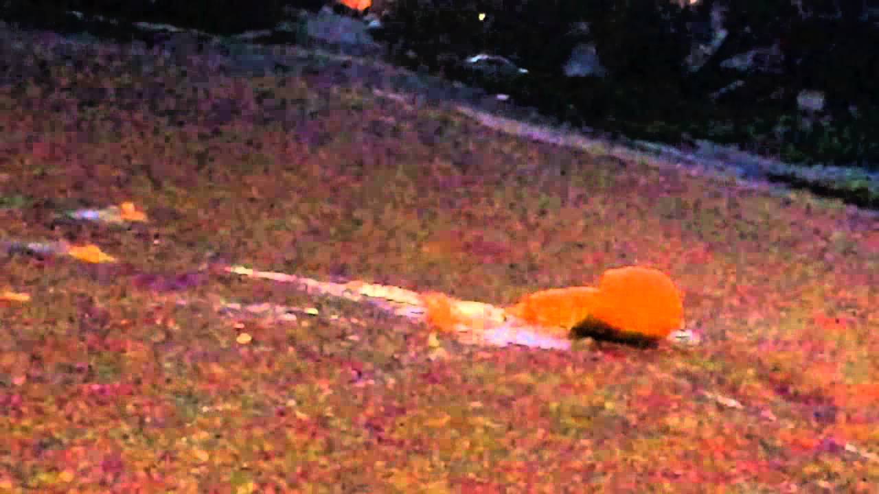 Orange Getting Crushed - YouTube