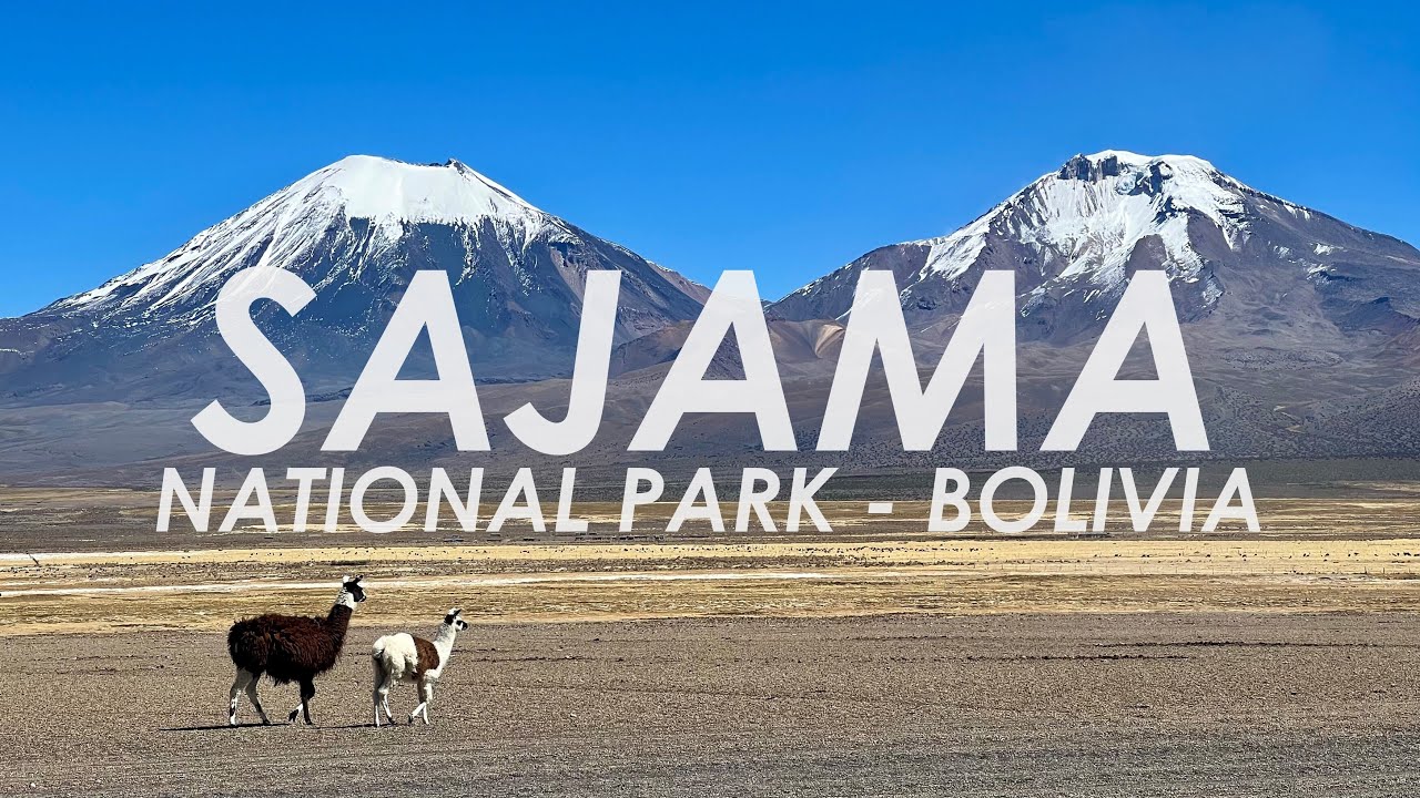 Exploring the Beauty of Parque Nacional Sajama - Bolivia - 4K - YouTube