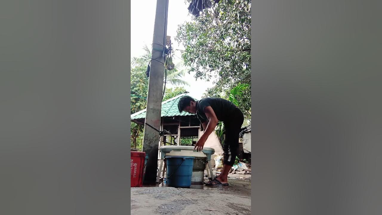 Laba Dami Youtube