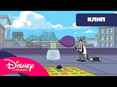 Денят на пчелата / История с пчели | Финиъс и Фърб | @DisneyKidsBulgaria