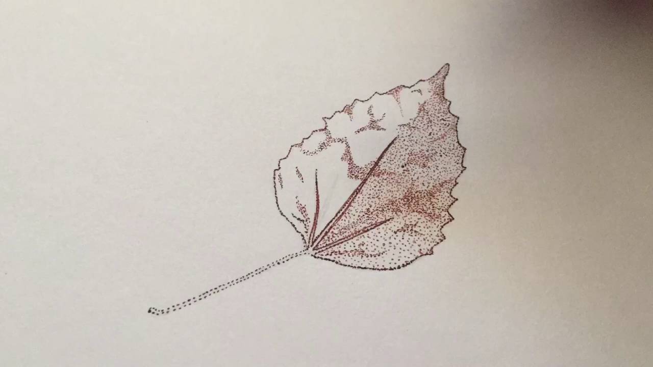 Leaf - Pointillism Time Lapse - ChristoSays! - YouTube