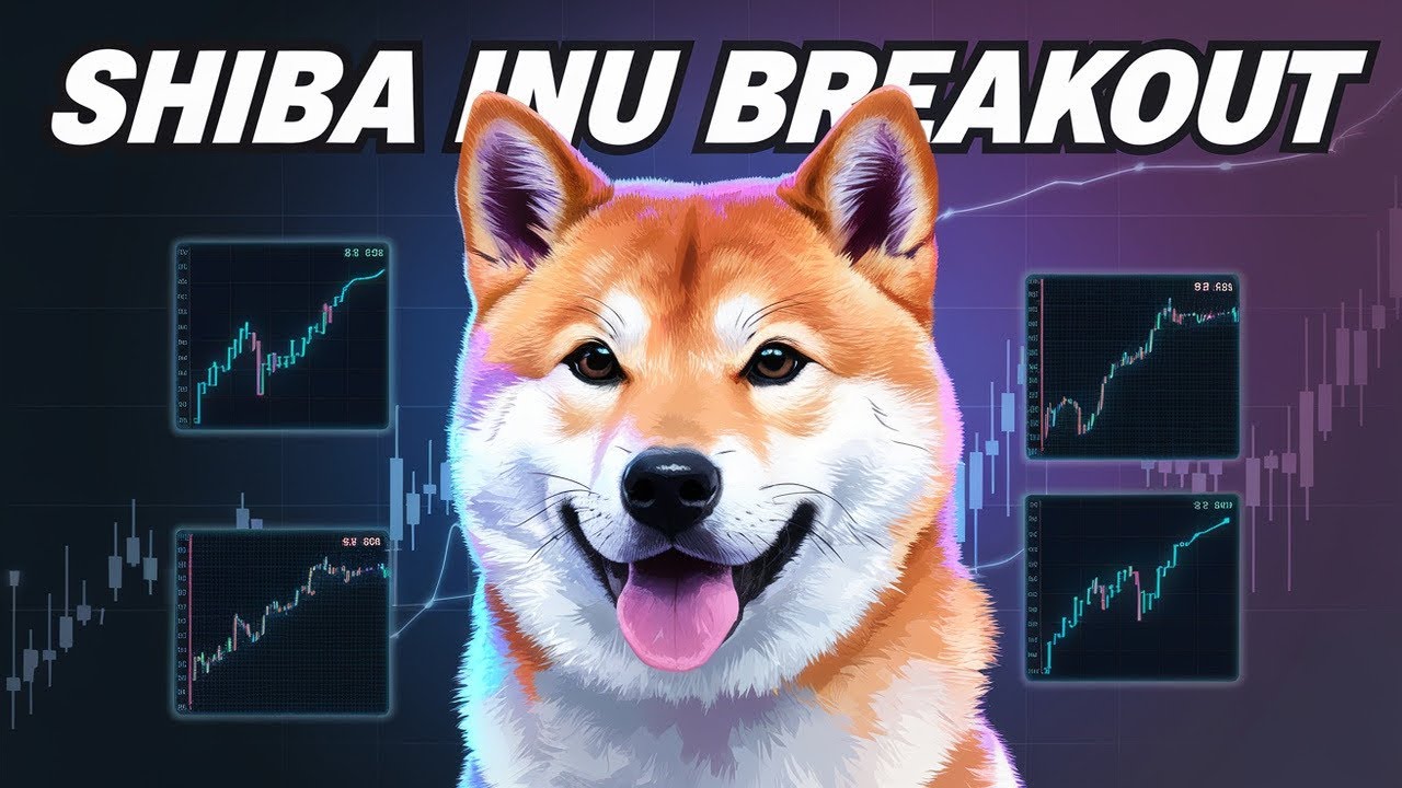 4 RARE Patterns Point to SHIBA INU MoonShot - YouTube