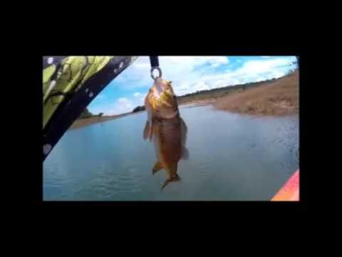 Pescaria em Queimados/Palmital em 13/04/2015 - YouTube
