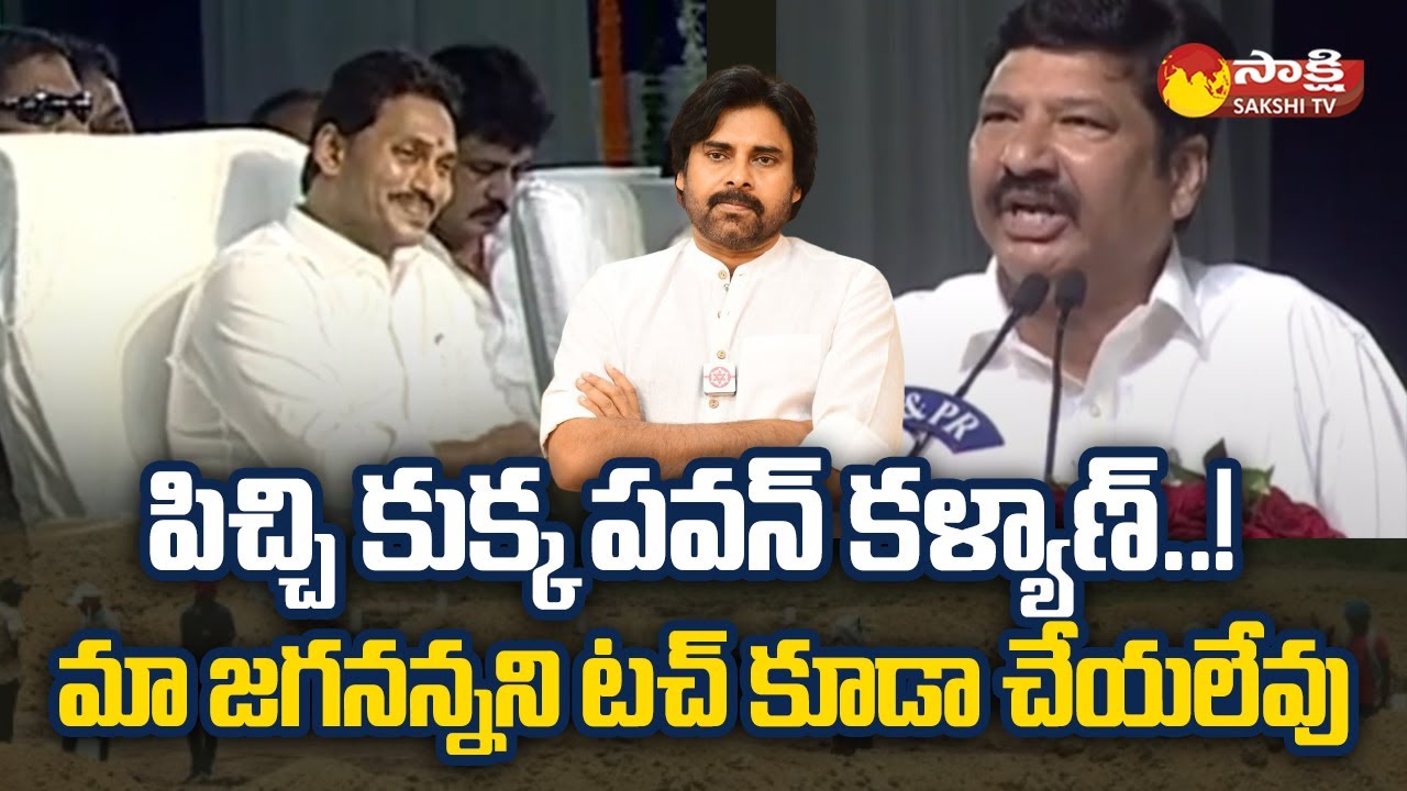 Minister Jogi Ramesh Fires on Pawan Kalyan, Raghu Rama Krishnam Raju ...