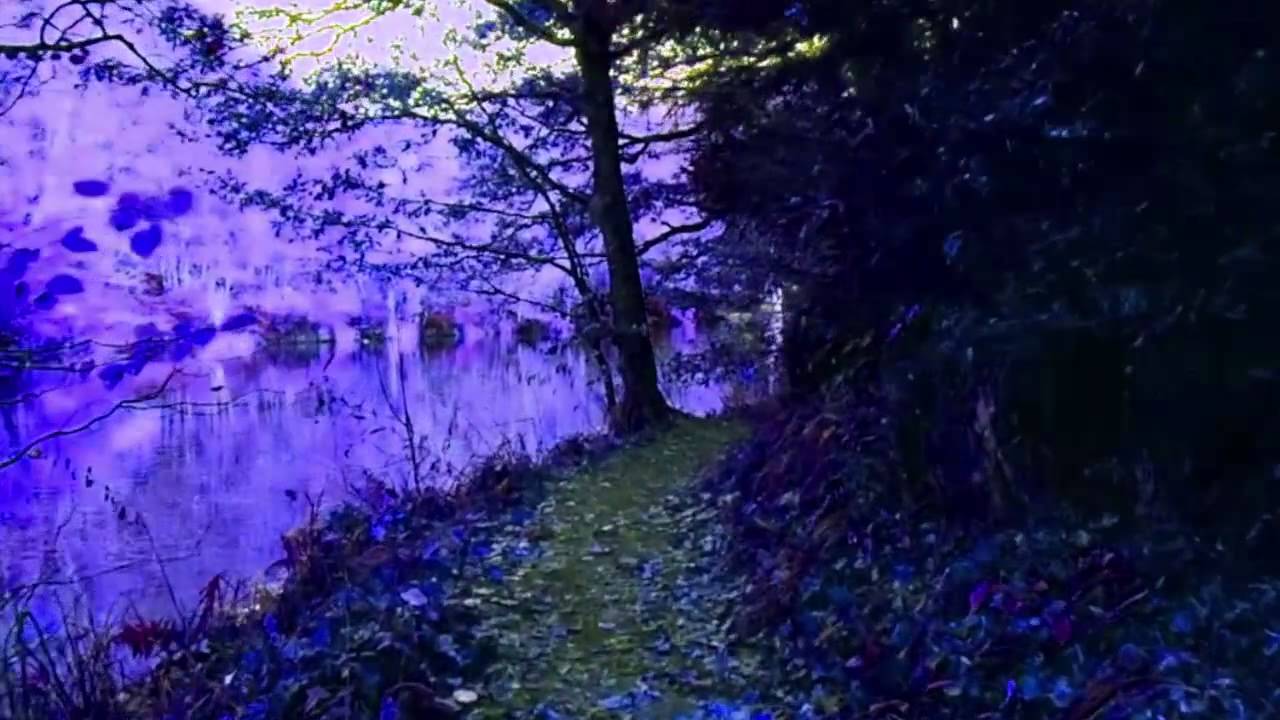 Jessy Blue-Magic forest - YouTube