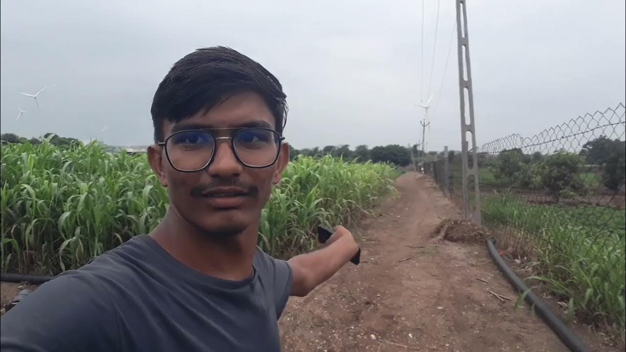 Mungfali Ki Khet Me Pani Dena Shuru Ho Gaya🌱🌱💧💧 - YouTube