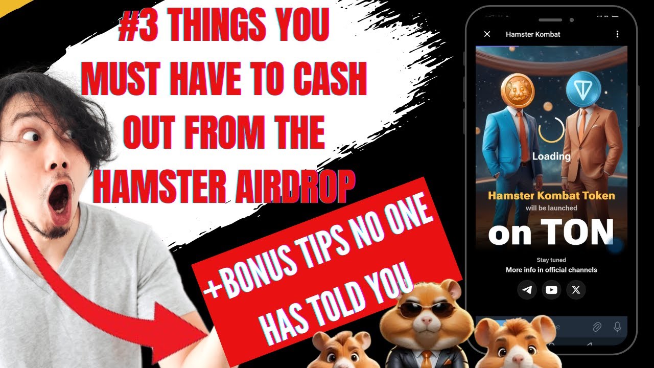 3 Things You Must Have To Cash-Out From The Hamster Kombat Airdrop On ...