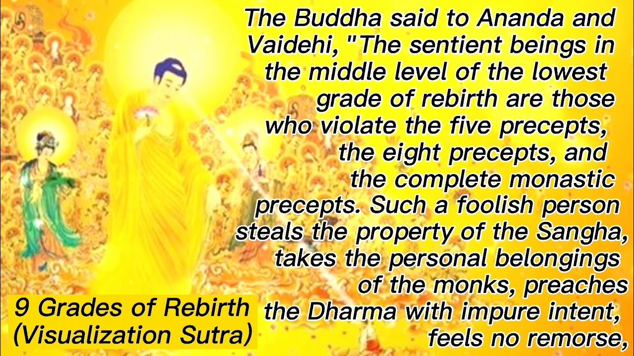 9 Grades of Rebirth (8): Middle Level of the Lowest Grade - YouTube