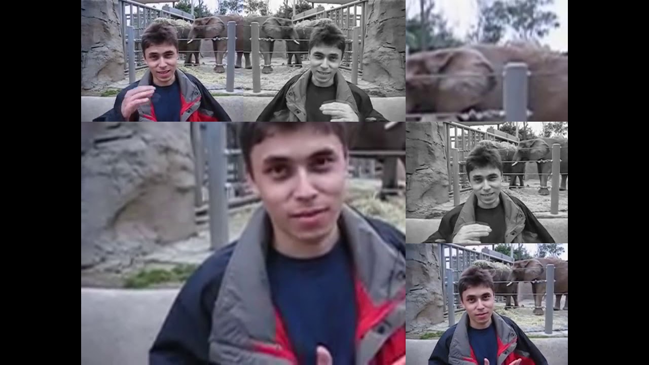 Me at the zoo Sparta Remix TheKantapapa Veg Custom - YouTube