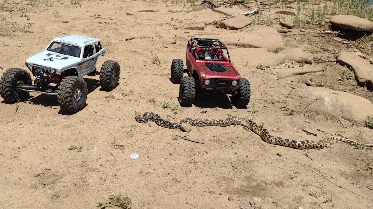 Redcat Wendigo & Axial Wraith Spawn crawling with some bashing on the ...