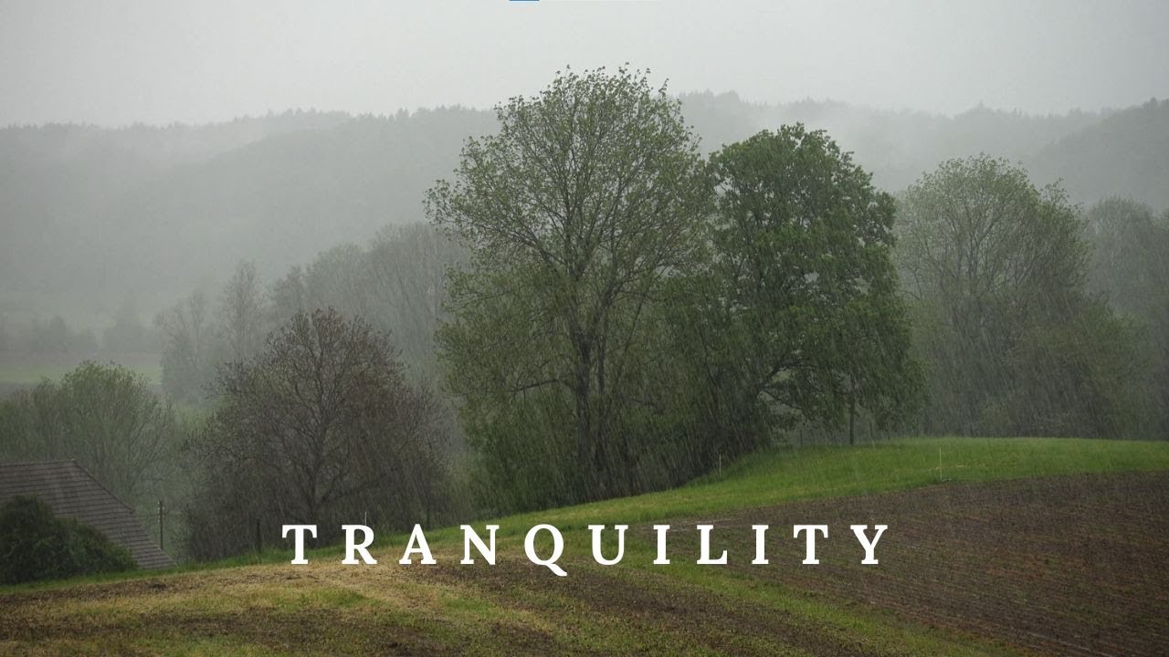 Calming Storm: Rain and Thunder Sounds for Concentration and Sleep ...