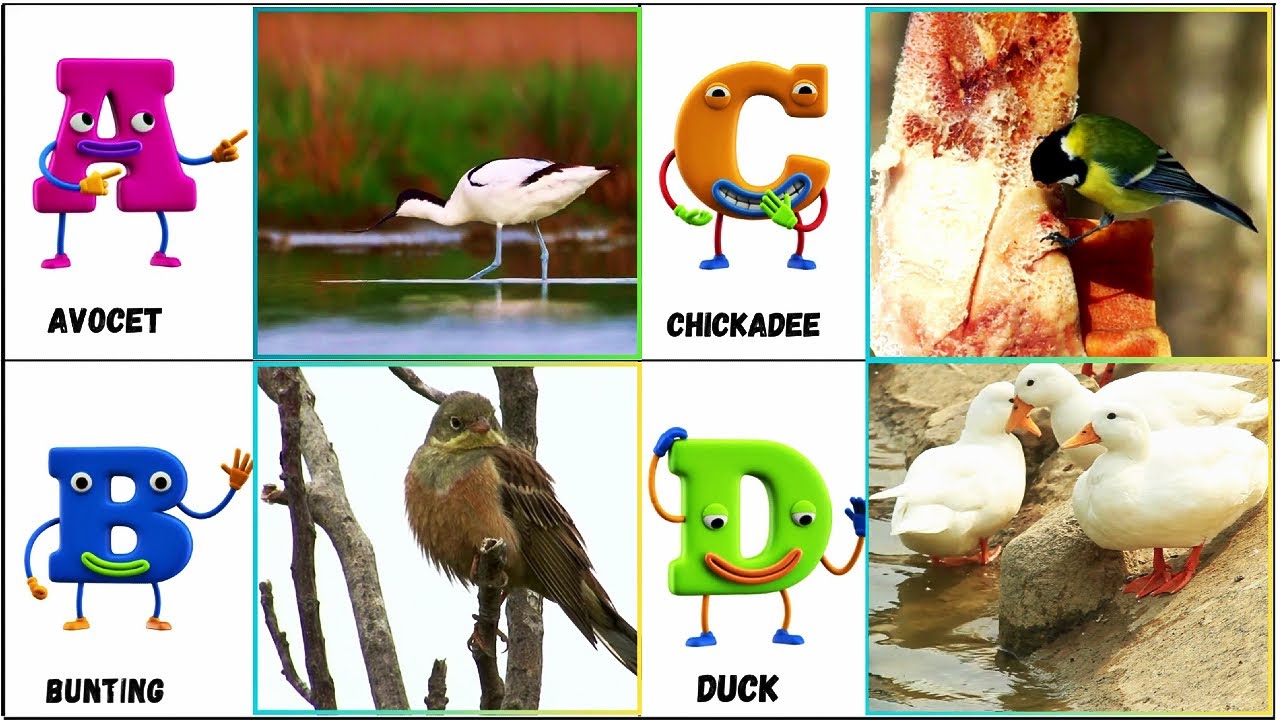 ABC - Alphabet Song - ABC Song - Collection - 2024 #2058 - YouTube